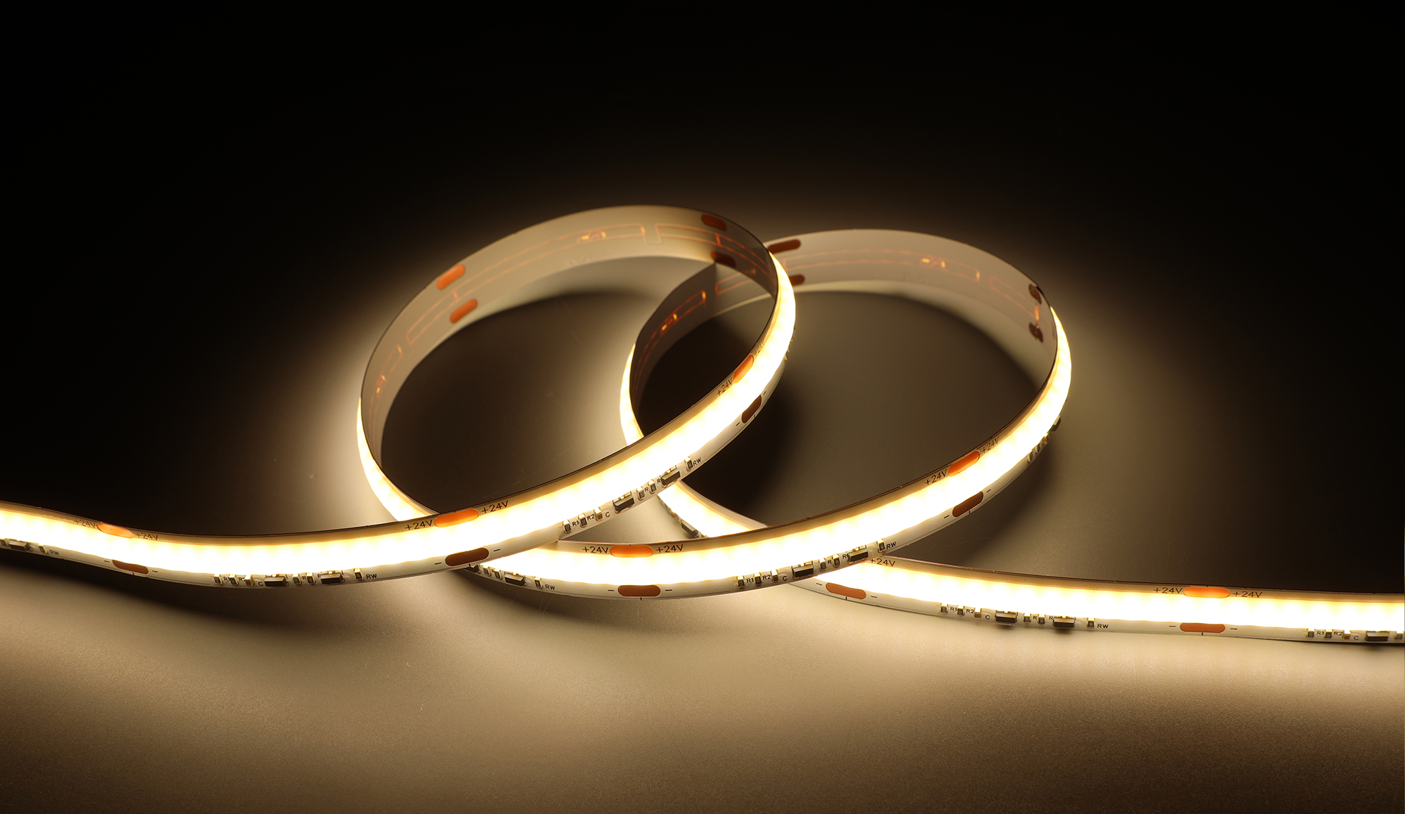 General Lighting - COB Pro Series - Dim-to-Warm 24V 560Chips/M 10mm - 9482